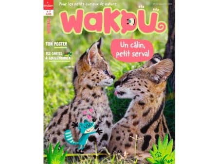 Quel magazine pour un enfant de 6 ans ? Les 5 meilleures revues