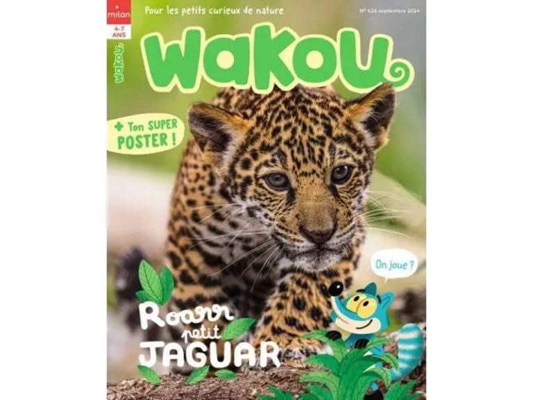 Quel magazine enfant 4-5 ans choisir ? Les 8 meilleurs abonnements